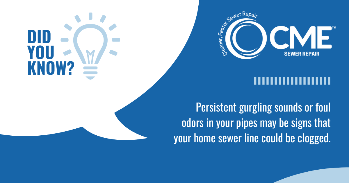 What To Do When You Have a Clogged Sewer Line - CME